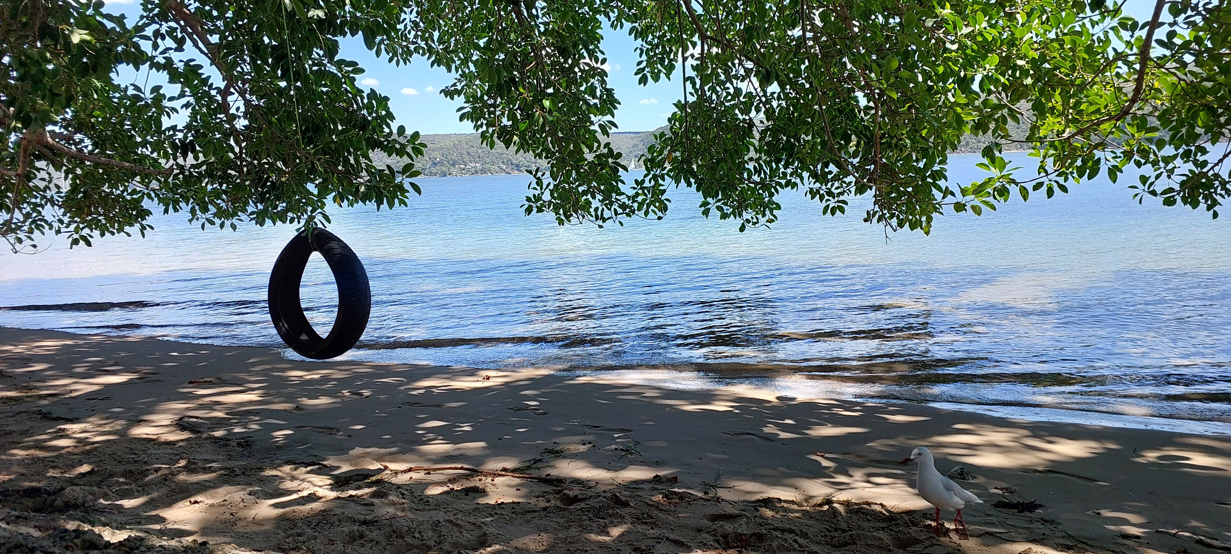 What Makes Real Soap, Real? – COOBEE